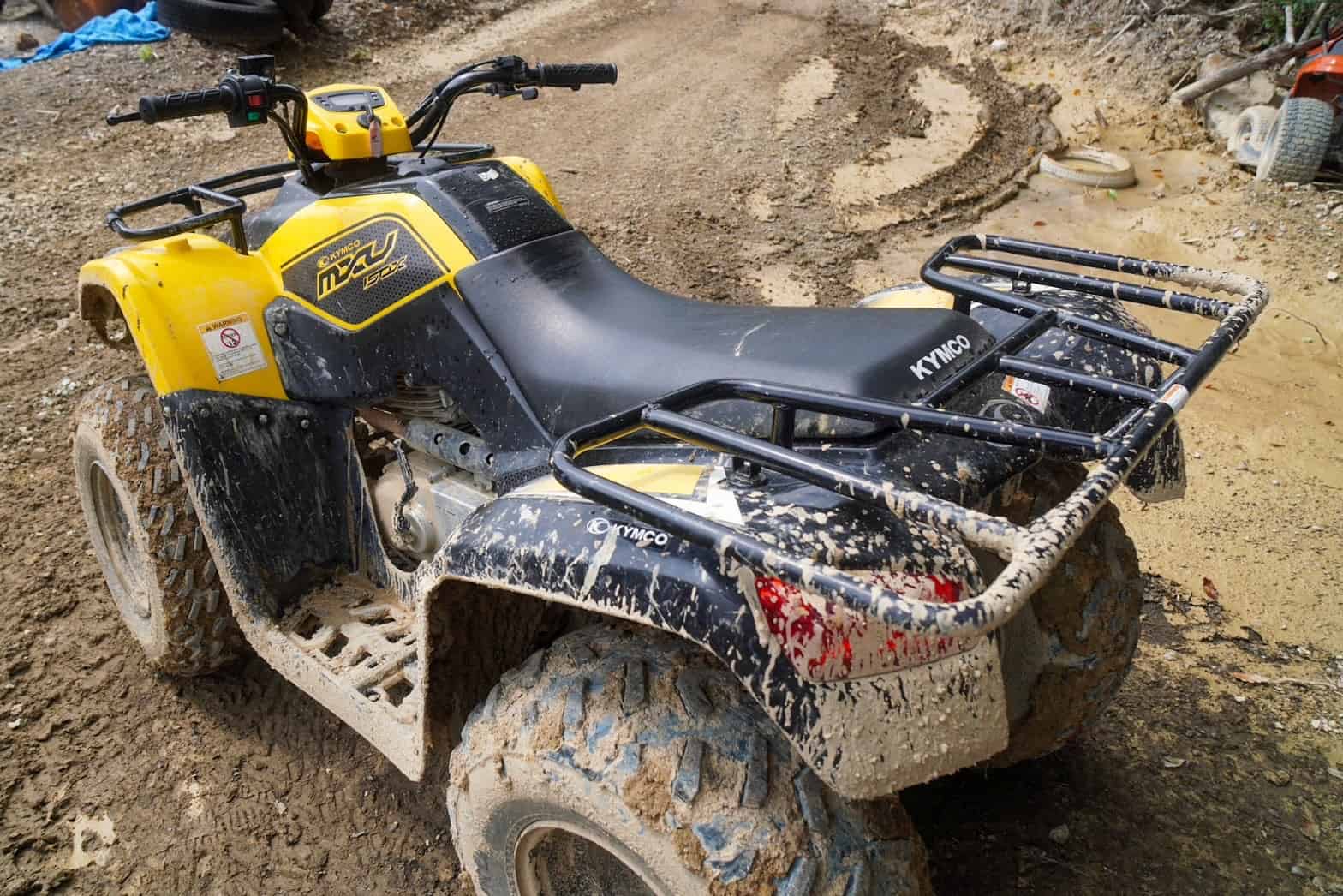 アドベンチャーリゾート施設「MOUNTQ（マウントキュー）」で遊ぼう！【和歌山県御坊市】 - ロカルわかやま-和歌山県